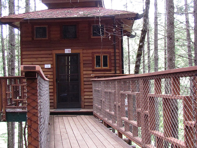 Vertical Horizons Treehouse Paradise - Purple Roofs